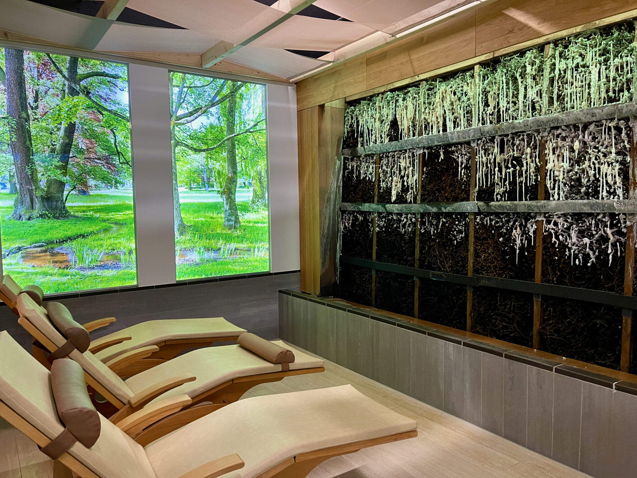 Day Spa Bad Homburg
